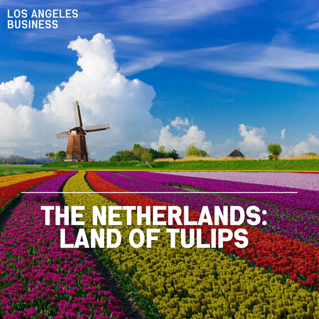 The Netherlands: land of tulips - Los Angeles Business Magazine